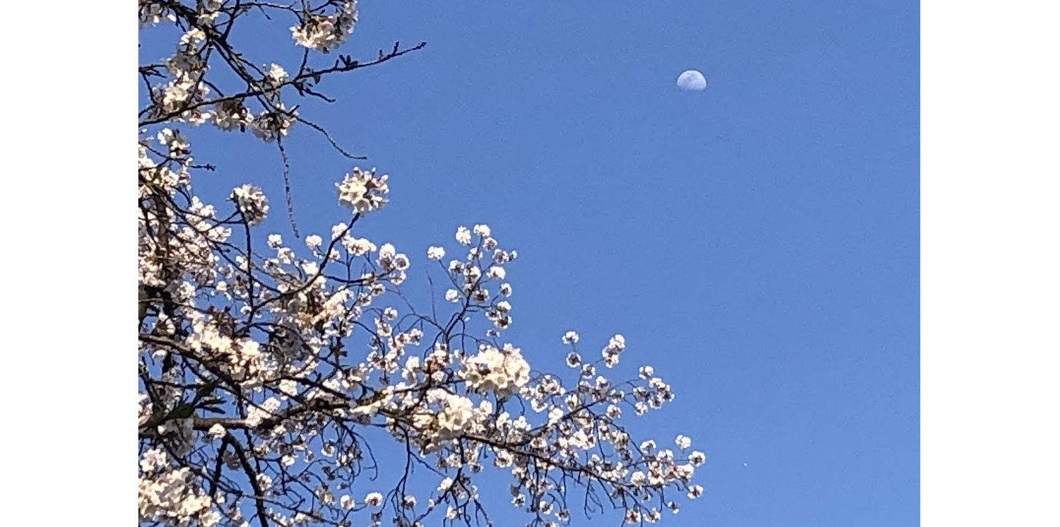 250409_hogo – フード･マイレージ資料室